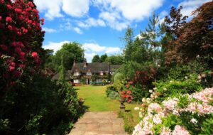 Best places to live in Surrey