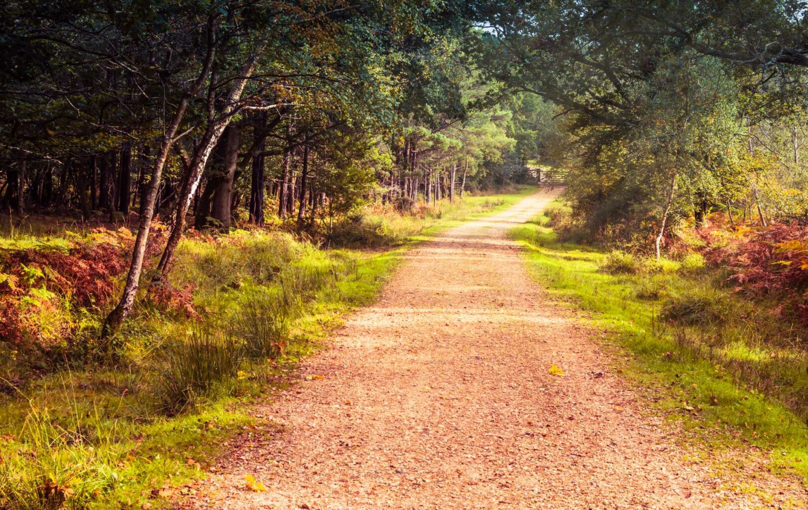 The best places to live in Hampshire