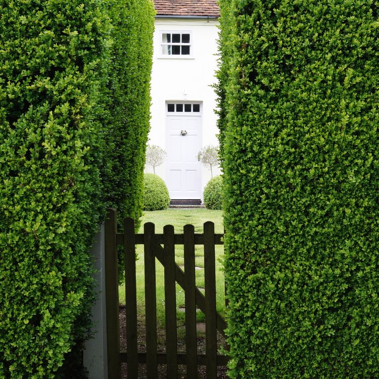 15 factors that affect property value | Garrington