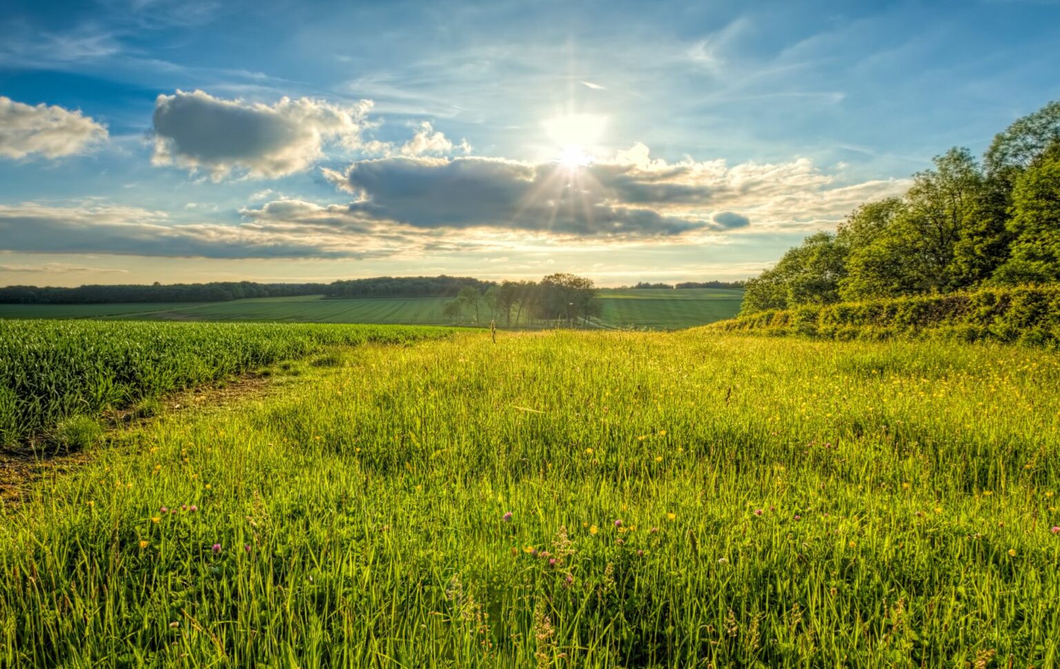 Best places to live in the countryside: Where to buy a home?