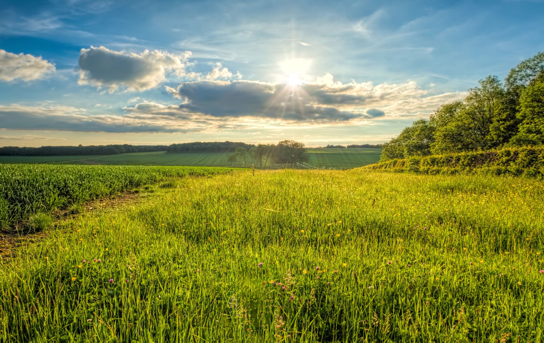 Best places to live in the countryside: Where to buy a home?