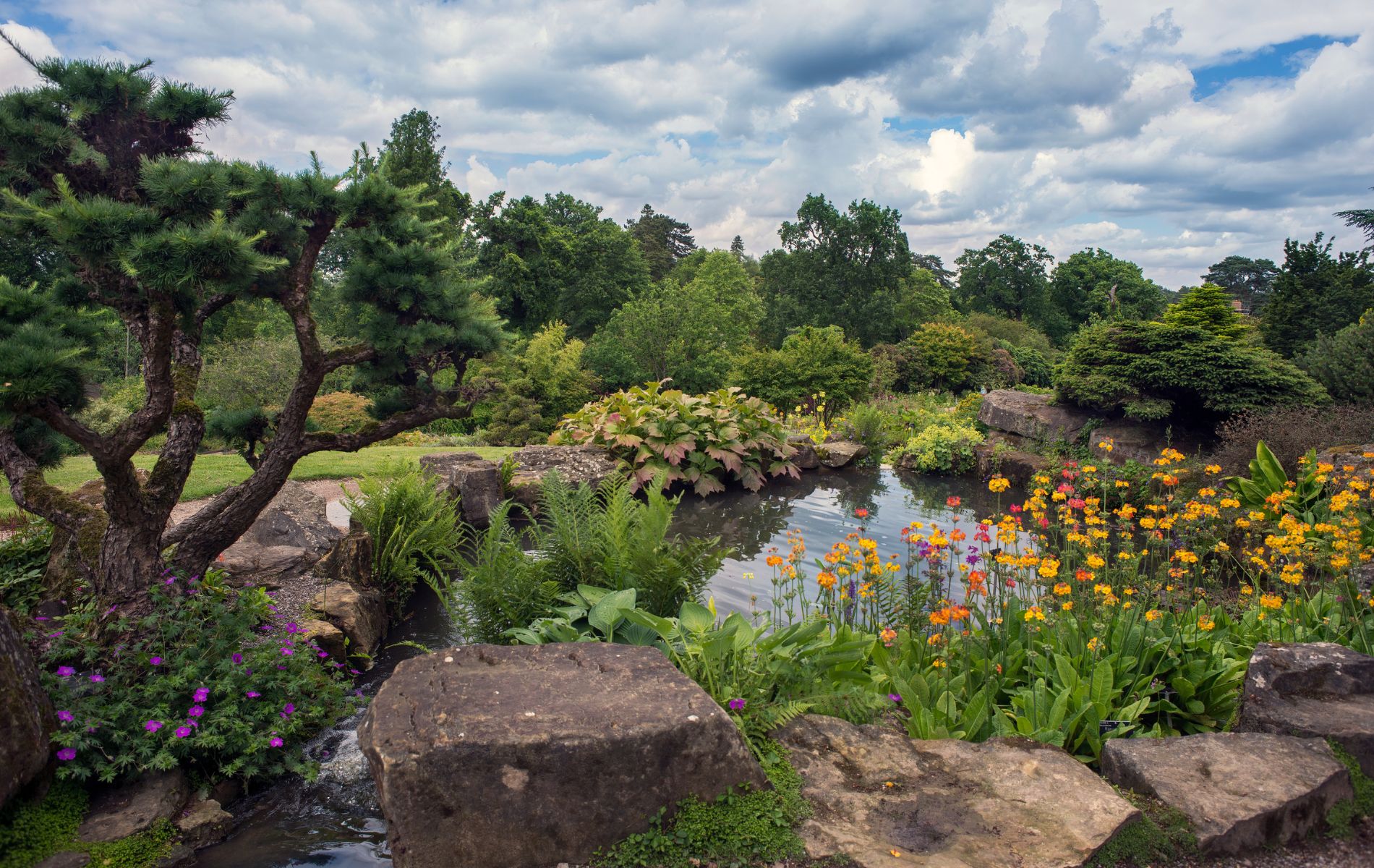 Best places to live in Surrey